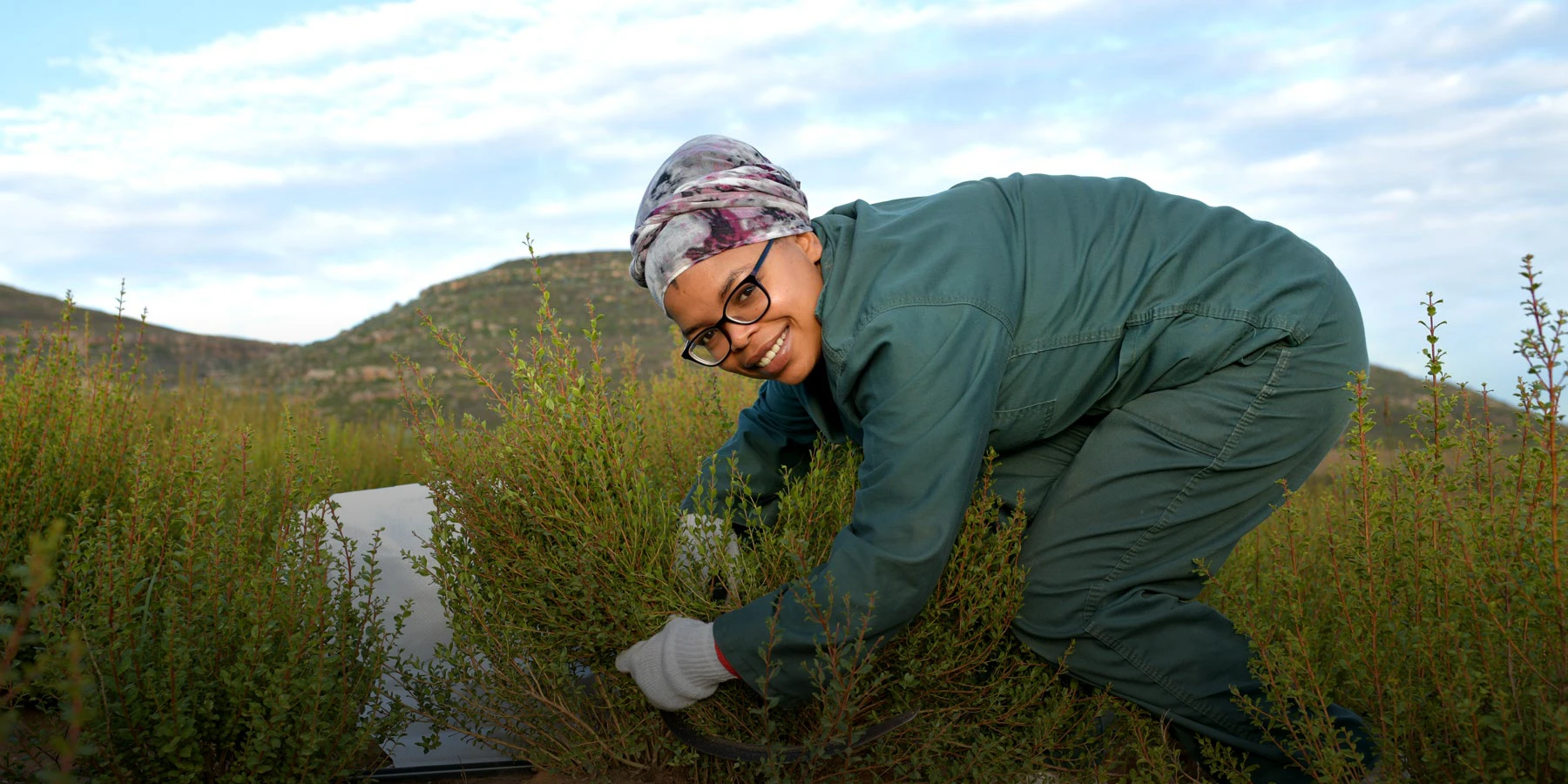 Home - Buchu Association